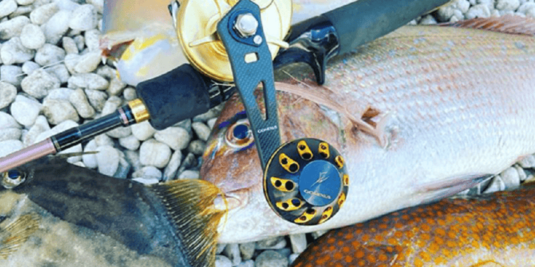 Shimano Reel Handle Replacement Guide for Anglers