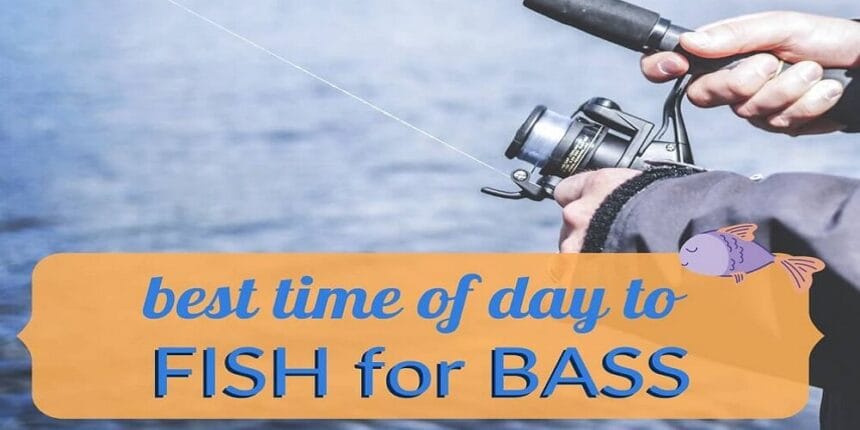 The Best Daytime for Bass Fishing - Gomexus